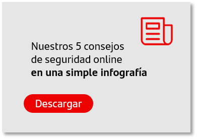 Nuestros 5 consejos de seguridad online en una simple infografía. Descargar